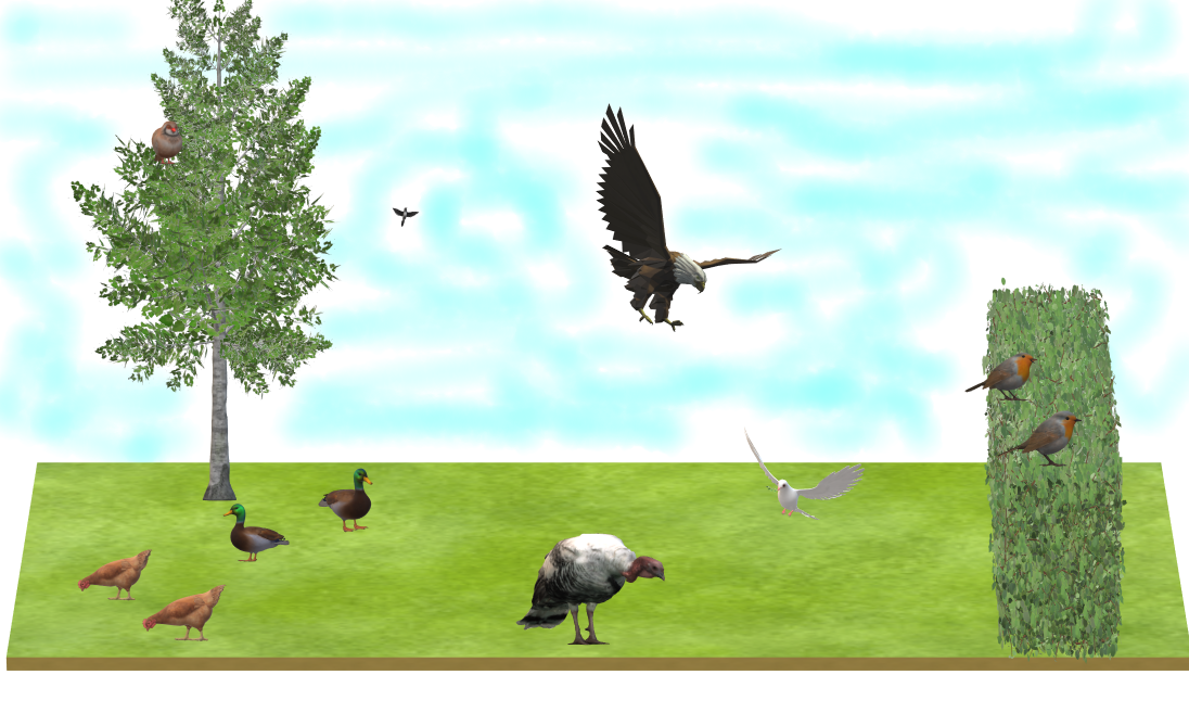 bird_divination_illustration – Divination Lessons